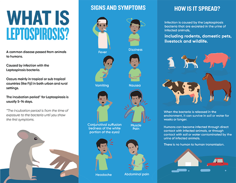 Leptospirosis – MHMS FIJI