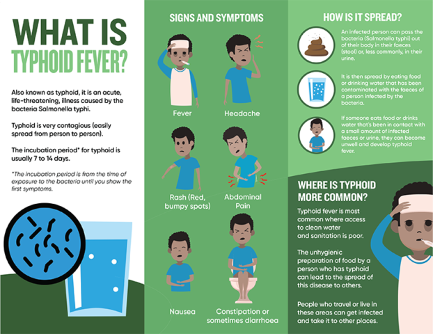 Typhoid – MHMS FIJI